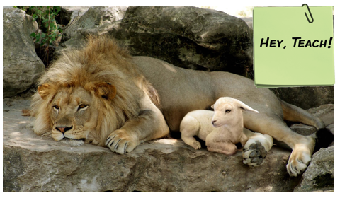 The Lion and the Lamb – notes from a chair